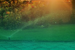 Contact Normac Today